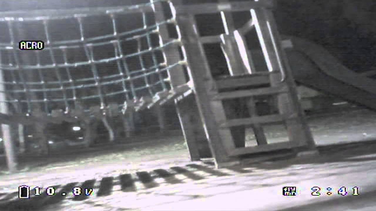 Insects Come Out at Night - Deformation Insects 130mm DVR From Banggood ...