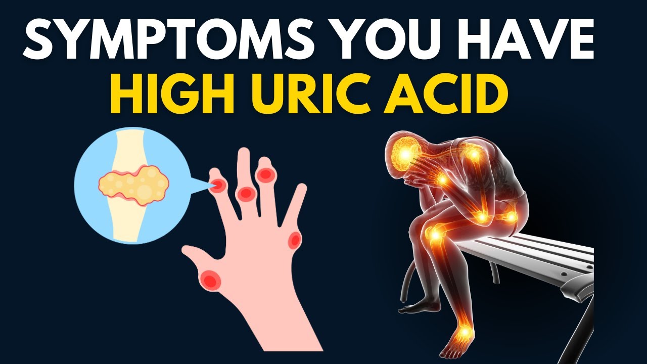Symptoms of High Uric Acid Levels In The Body | Gout Symptoms ...