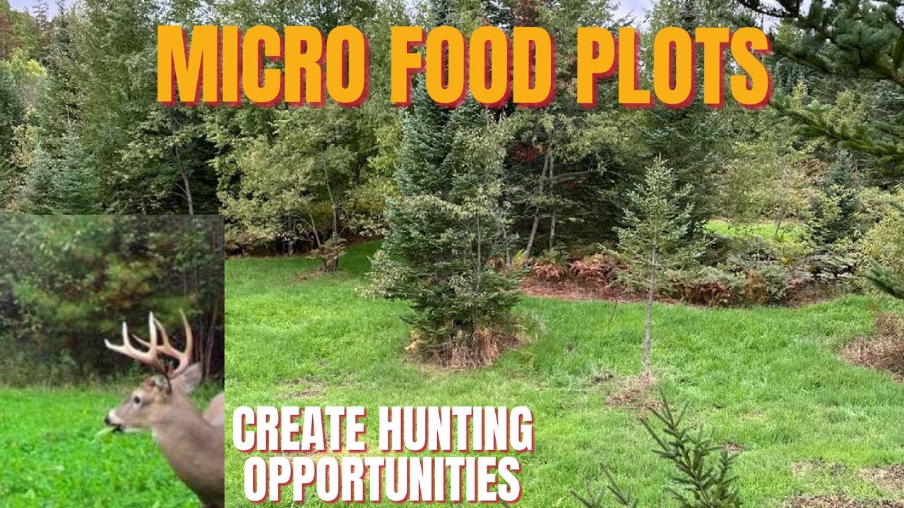 MICRO FOOD PLOTS STRATEGY - YouTube