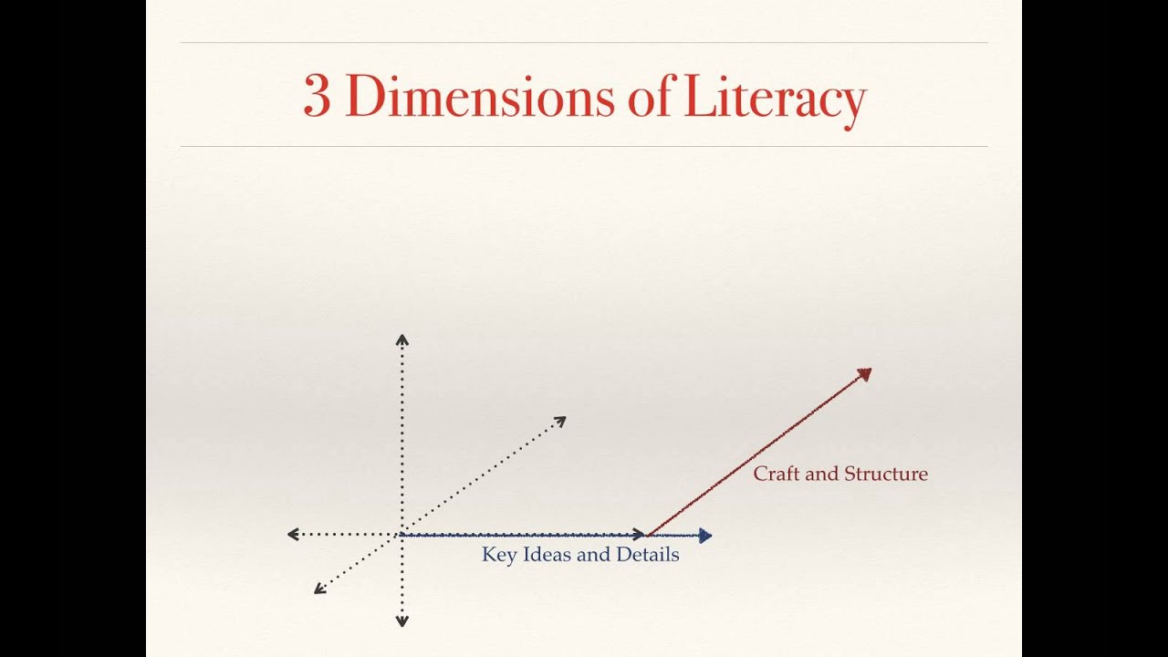 3 Dimensions of Literacy - YouTube