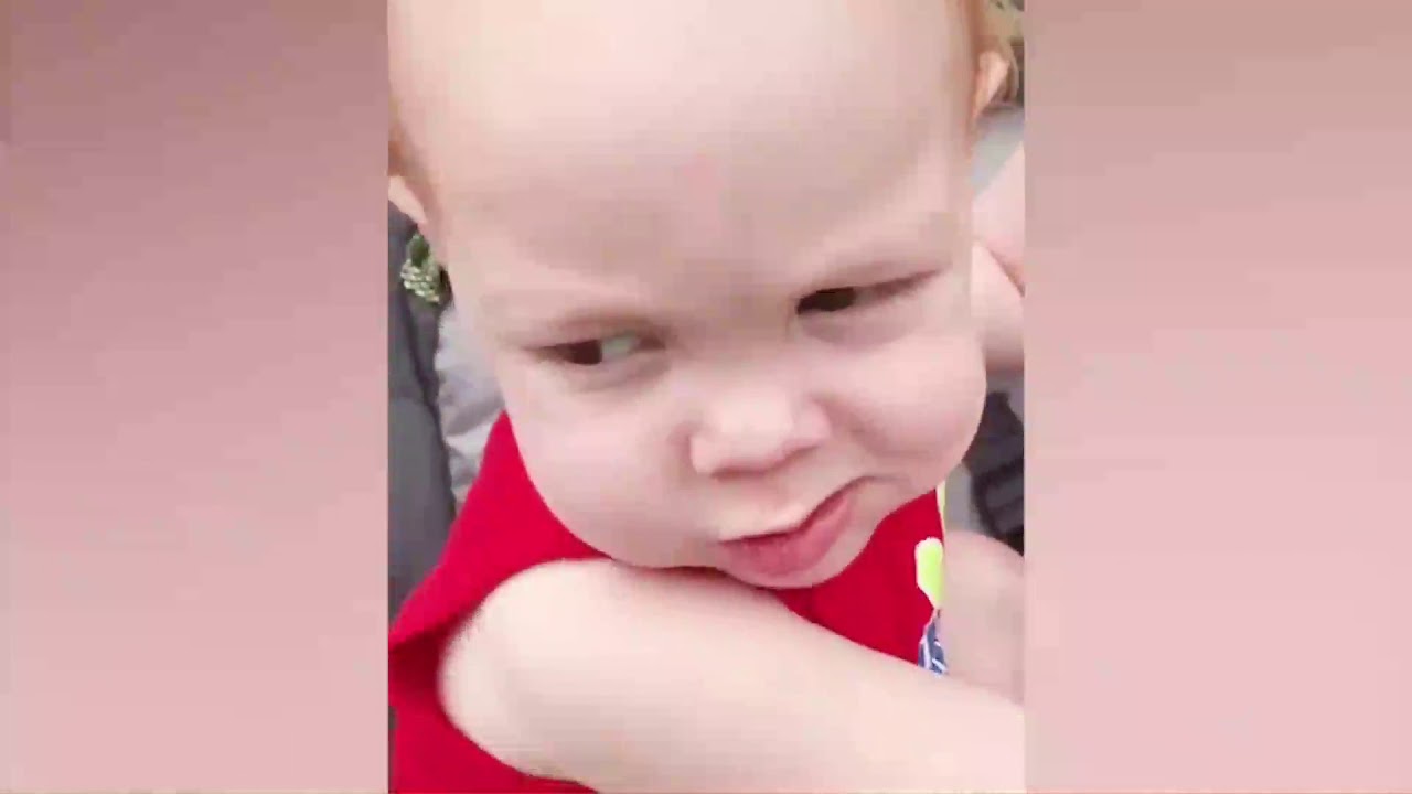 Try To Not Laugh || Funnest Baby Trolling With Animals || Funny Baby ...