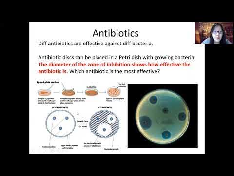 Chap 10 (Part 2) - Antibiotics and Antibiotic Resistance | Cambridge A ...