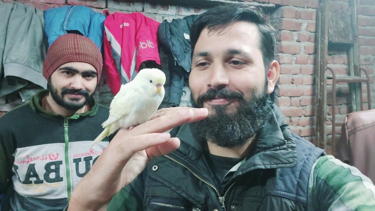 SPECIFICAL GIFT 🎁 💝 - YouTube