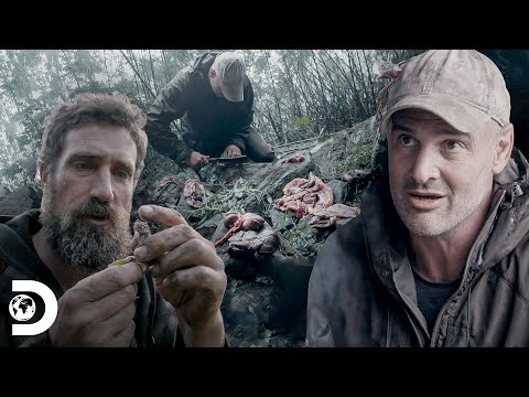 Ed caça uma ovelha, encontra abrigo e abre vantagem | Ed Stafford: Contra todos | Discovery Brasil