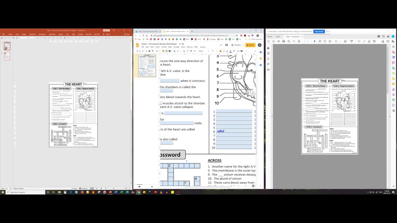 Heart - Homework Review Worksheet / Test Prep (by Tangstar Science ...