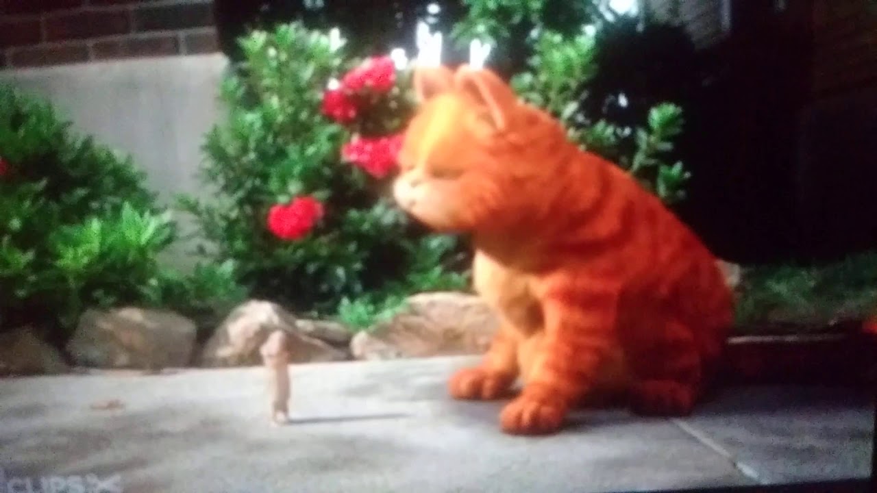 Garfield movie - Cat and Mouse - YouTube