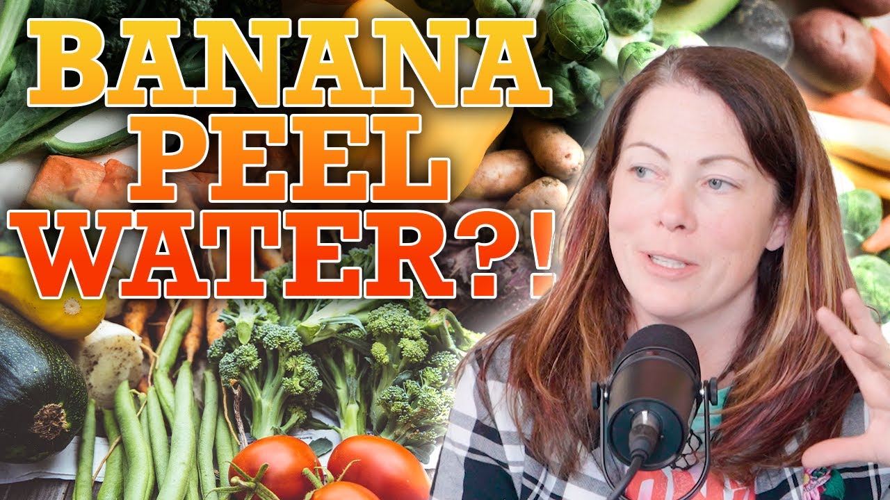 Answering Your Veggie Questions! - YouTube