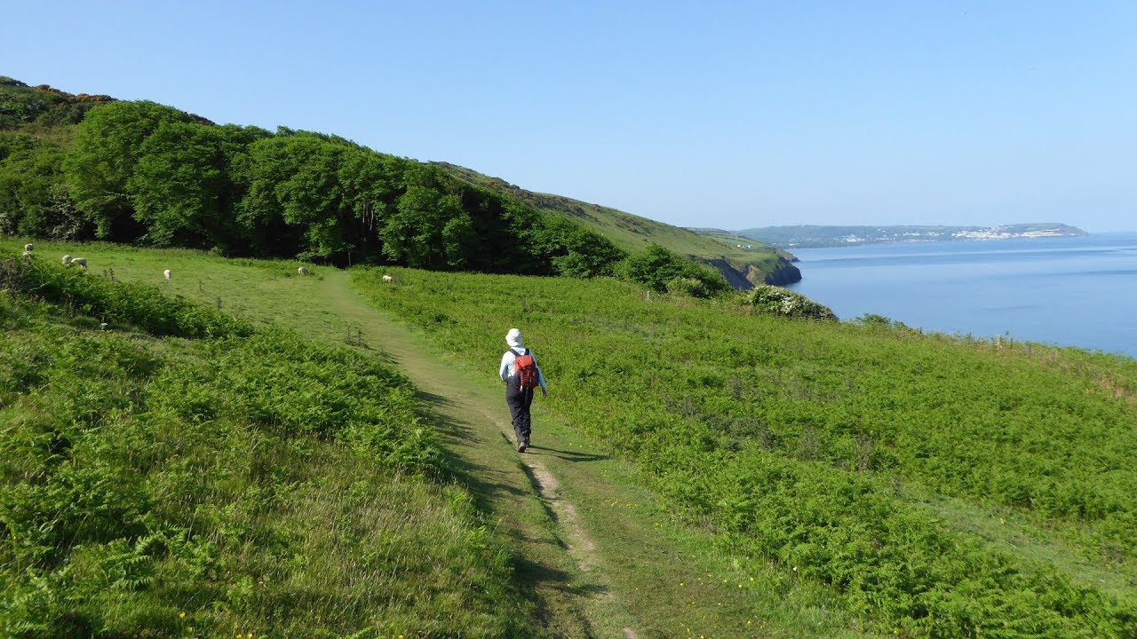Aberaeron Walks, Ceredigion Walks In Wales, UK - YouTube