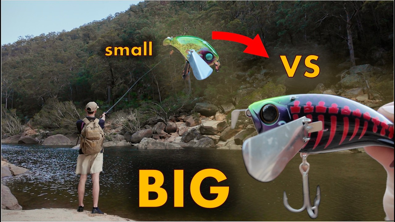 BIG Murray Cod vs small Bass Lures test; INSANE SURFACE BITE! - YouTube