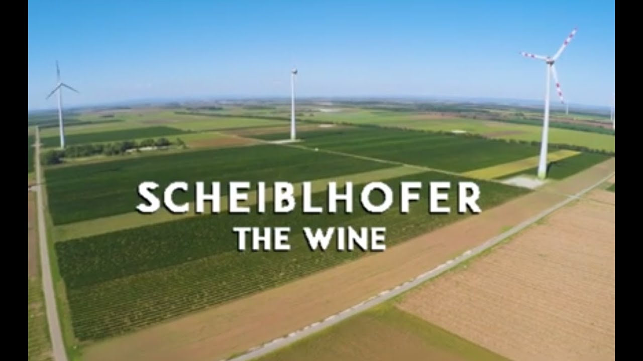Scheiblhofer Weingut, Andau, Burgenland, AUSTRIA. VINEYARDS AND DRONE ...