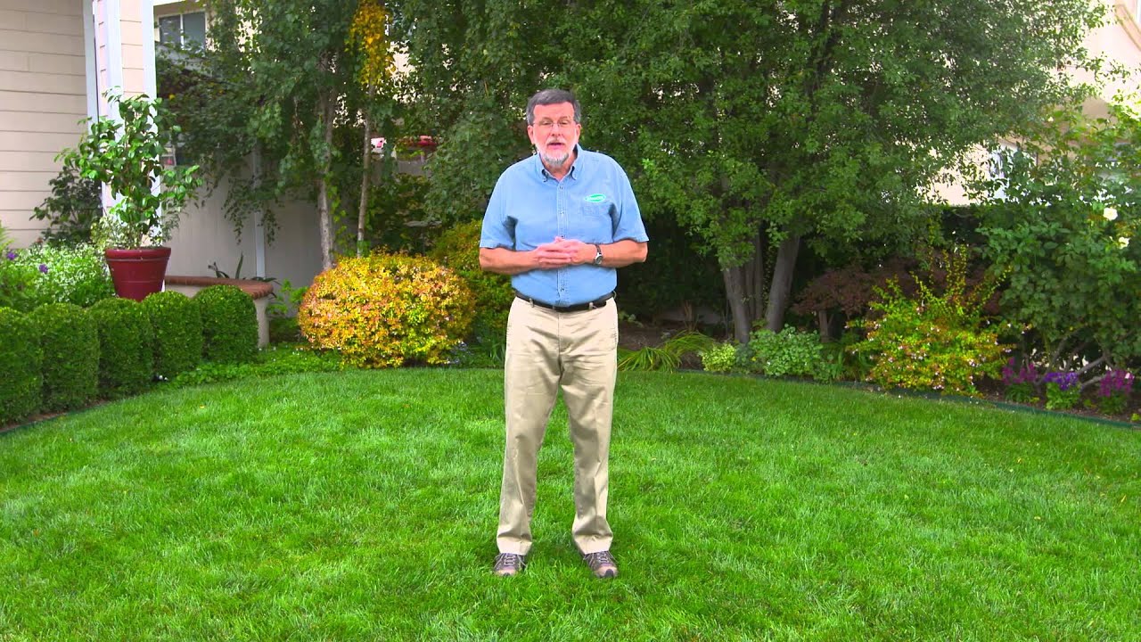 Feed Your Lawn with Ashton Ritchie - Ace Hardware - YouTube
