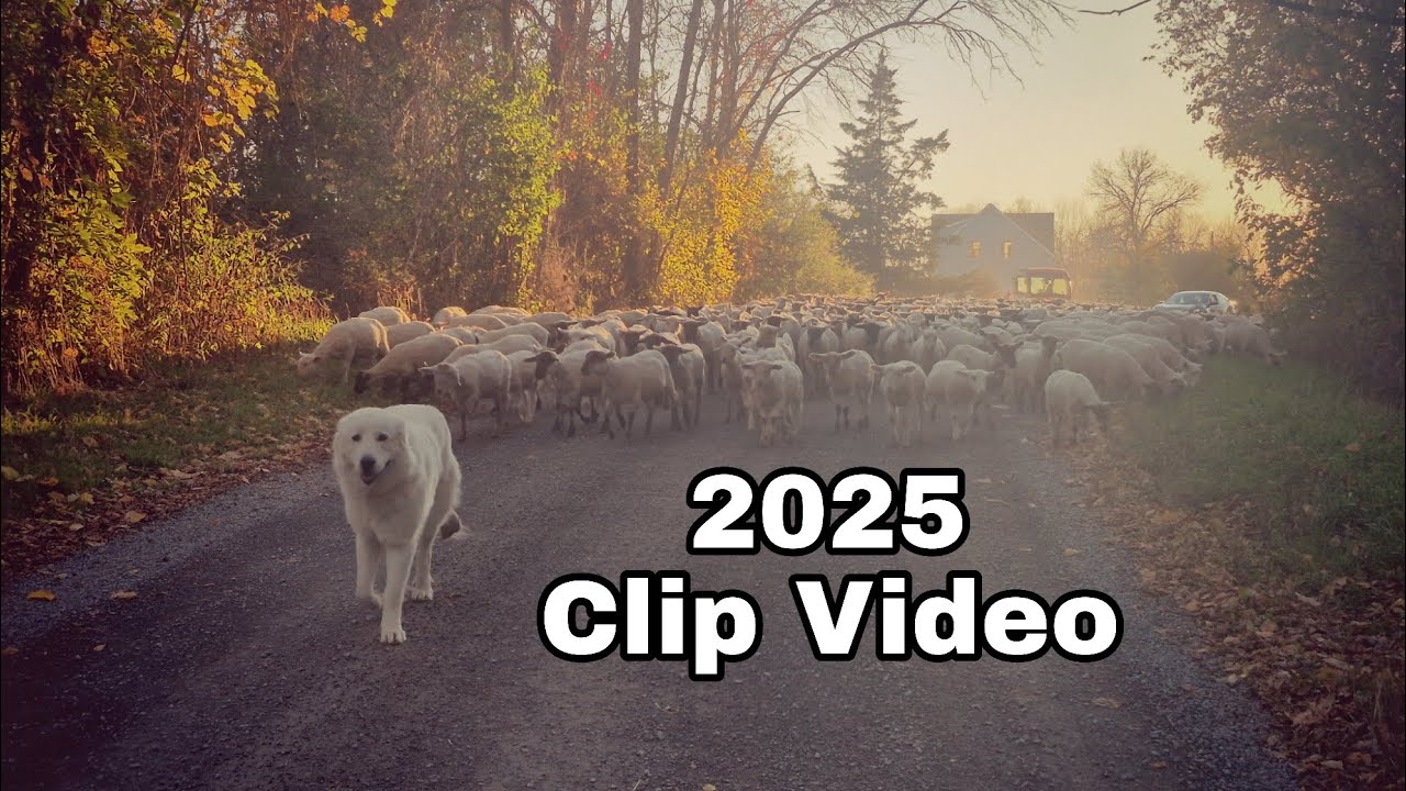 NOTHING WASTED (2025 Compilation) - YouTube