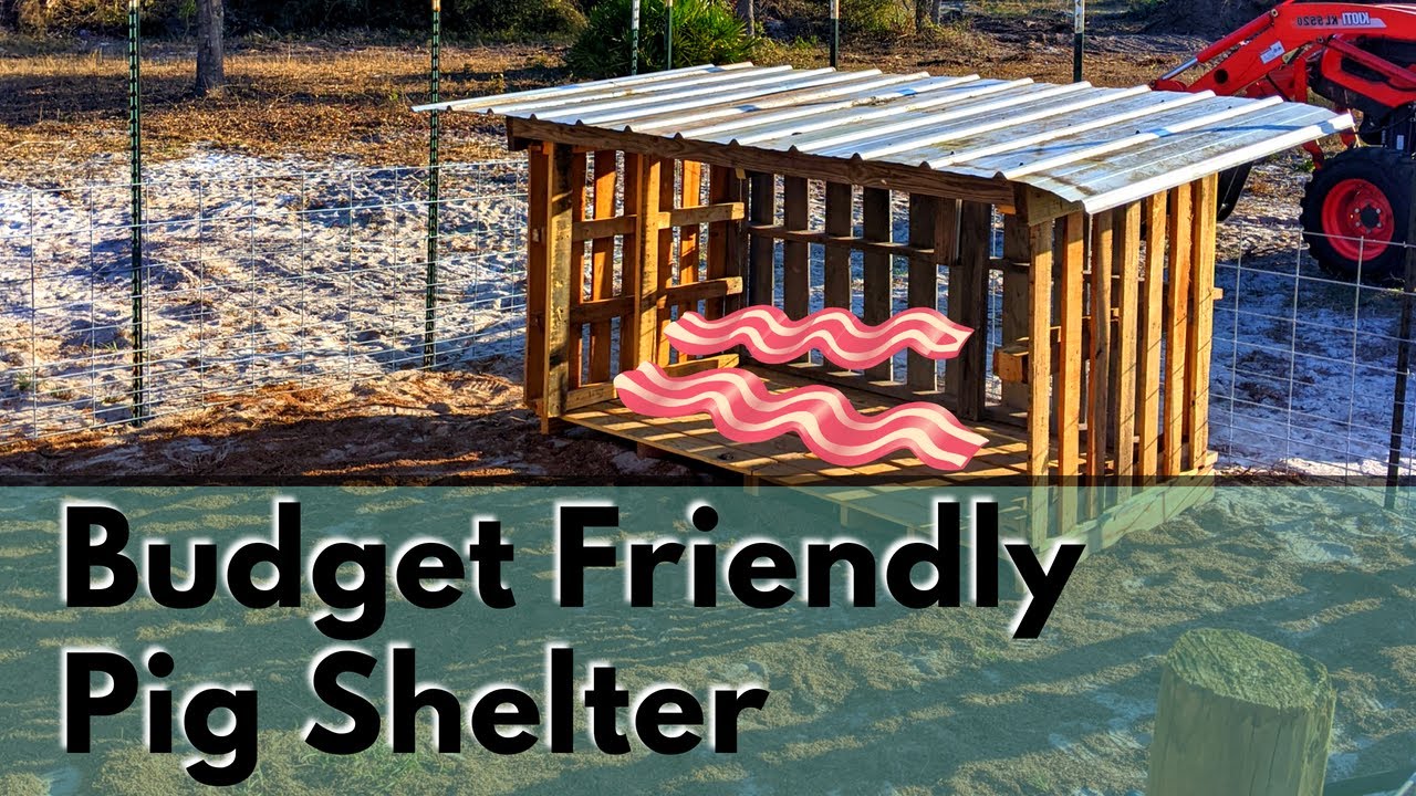 DIY Pig House in 20 minutes - YouTube