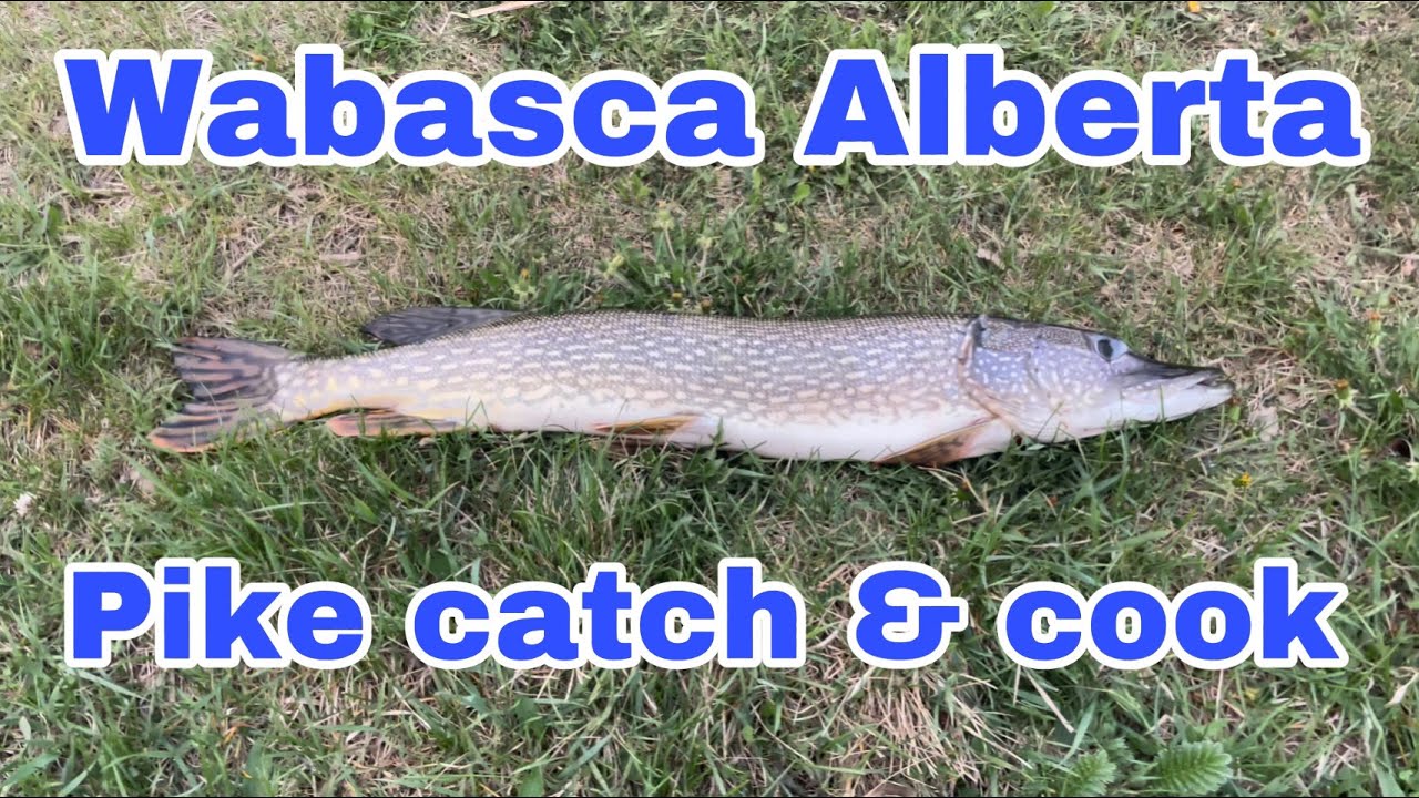 Wabasca Alberta Pike catch & cook - YouTube