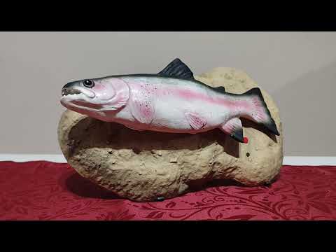 1999 (??) Gemmy Singing "Travis Trout" Fish (BEFORE REPAIRS) - YouTube