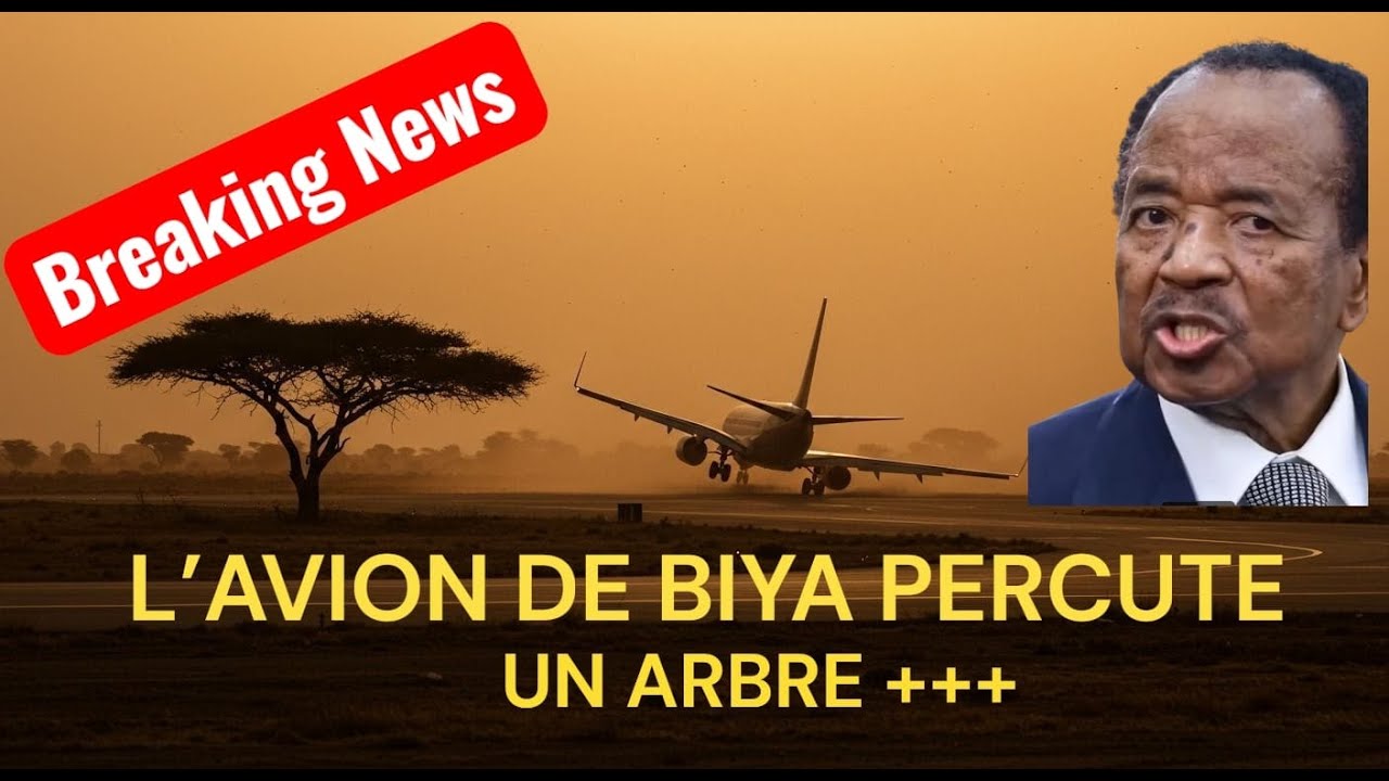l'avion de biya percute un arbre - YouTube