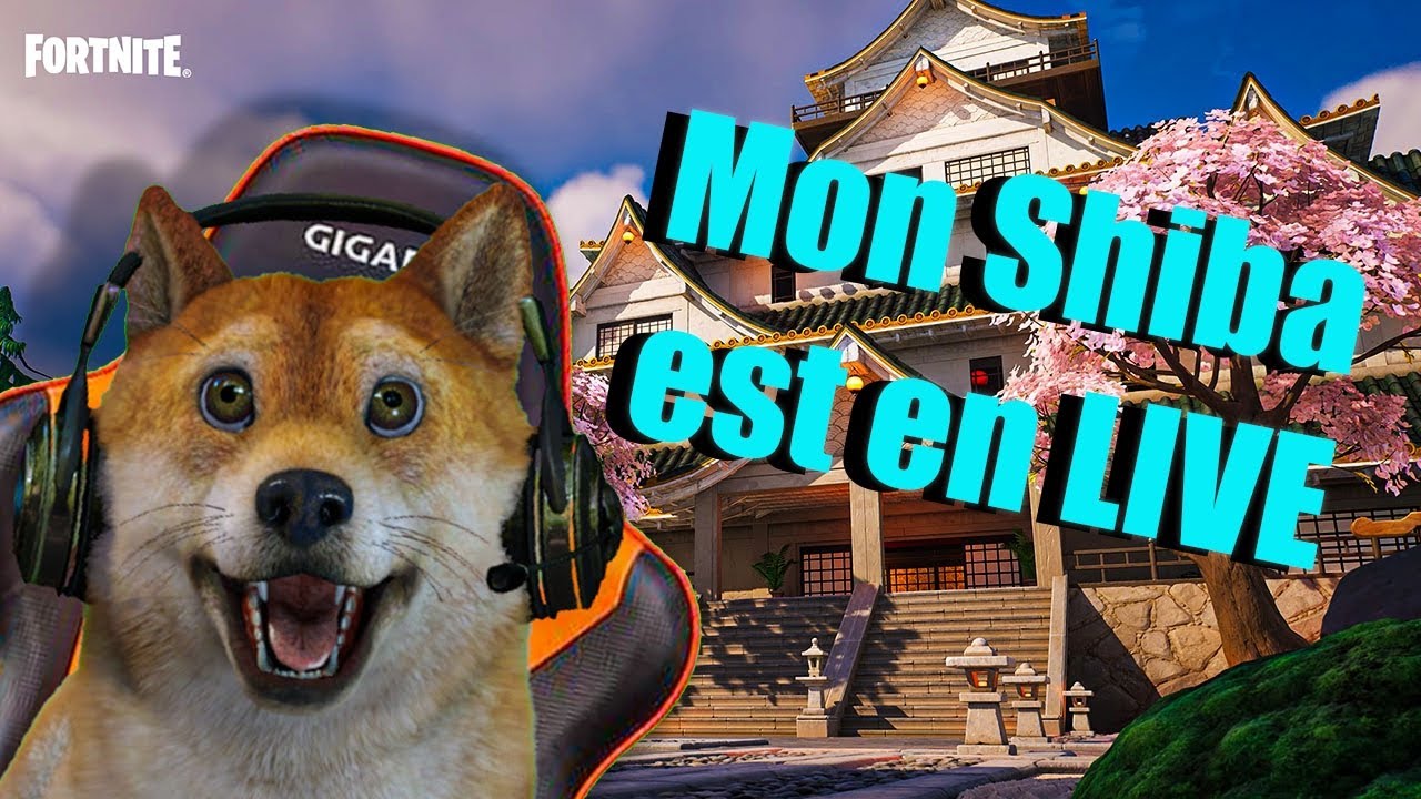 Un SHIBA sur FORTNITE !!! #fortnite - YouTube