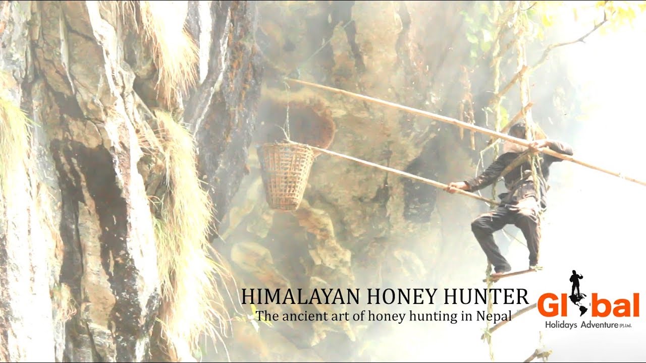 Himalayan Wild Honey Hunter | Nepal Honey Hunting - YouTube