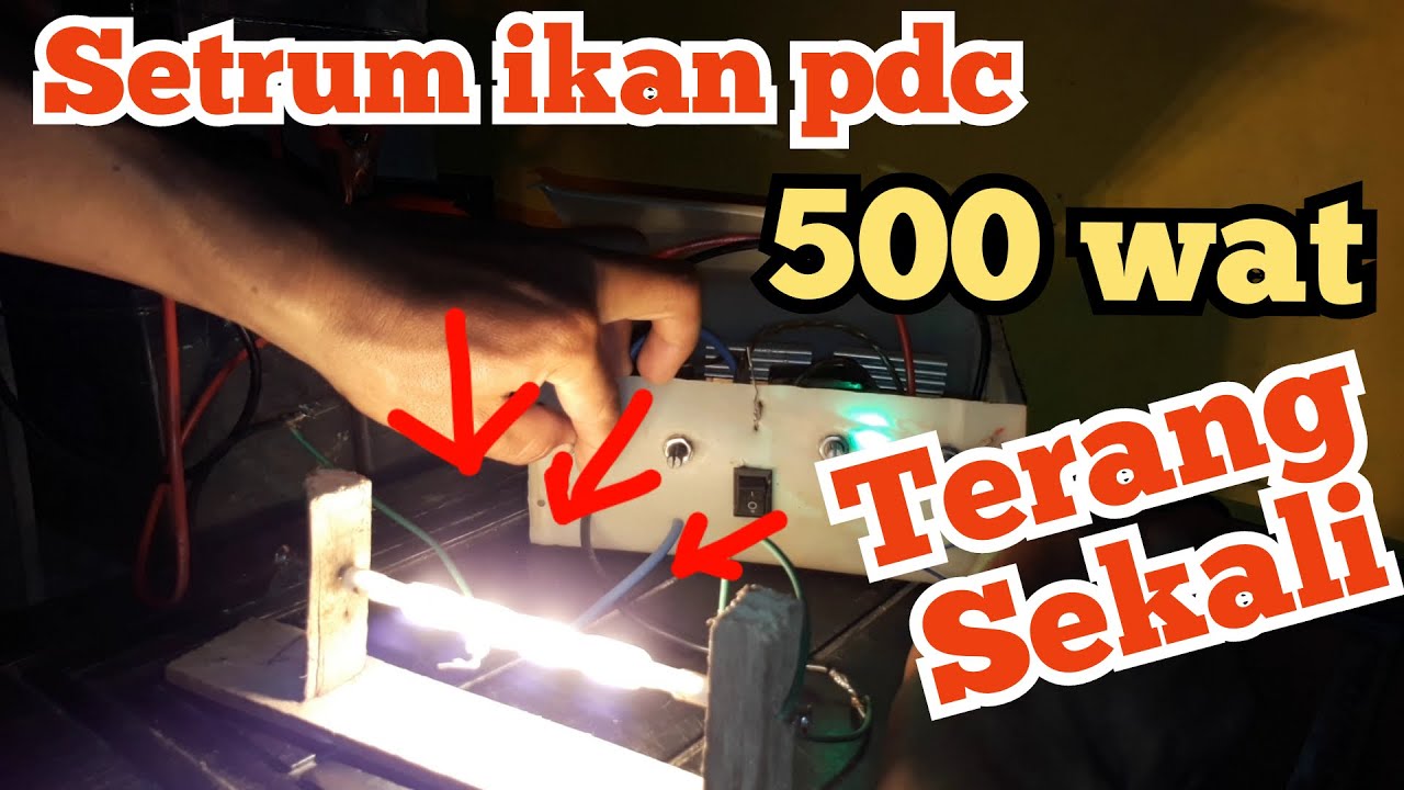 Setrum ikan platina di bandingkan setrum ikan pdc - YouTube