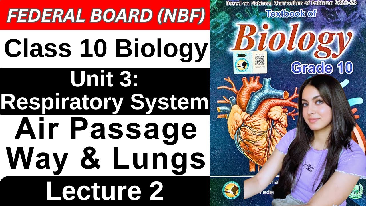 Air Passage Way and Lungs | Unit 3 Respiratory System | Class 10 ...