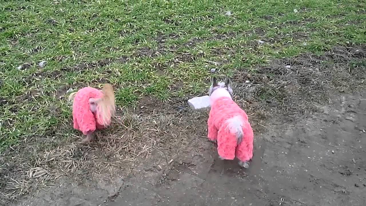 Coco und Kathy - YouTube