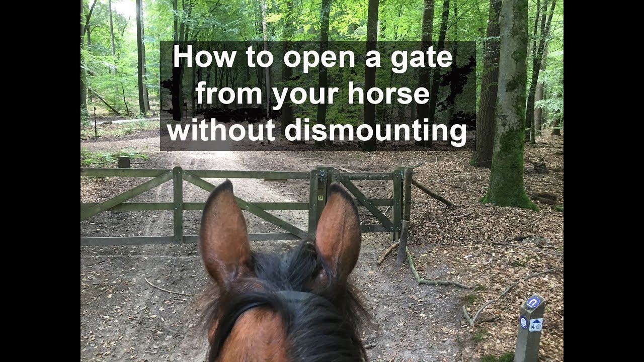 How to open a gate while riding your horse without dismounting ...
