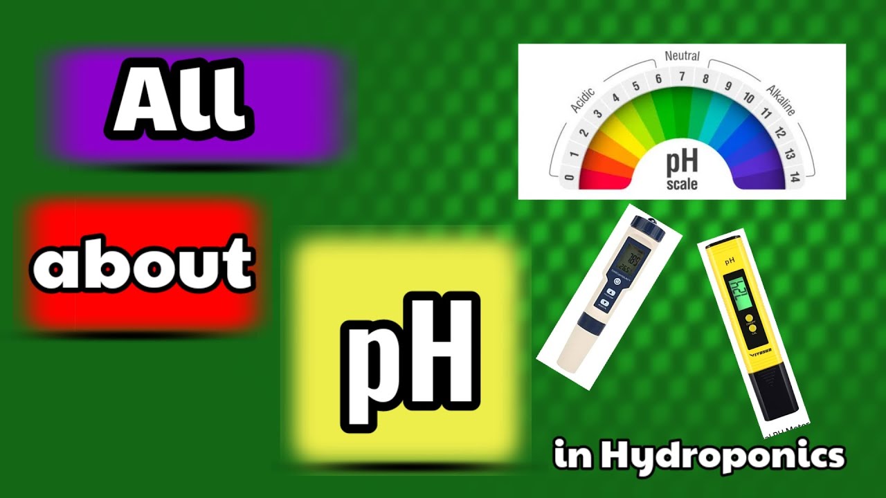 pH in Hydroponics | All about pH - YouTube