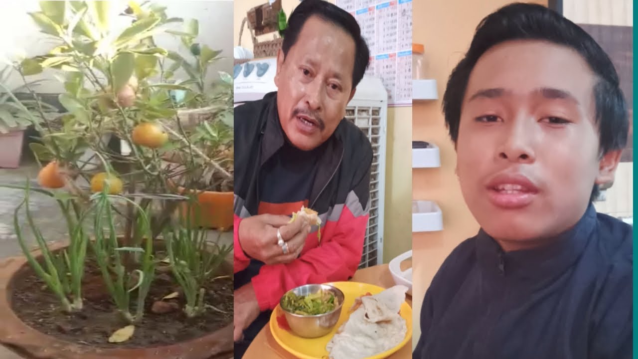 Orange And Tomato Vermicompost Happa||Mapana Laigi Touba🌸🙏 - YouTube