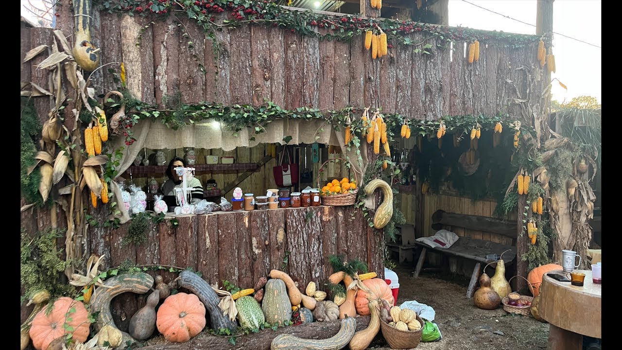 AO VIVO NA CASA DO JJ88 - YouTube