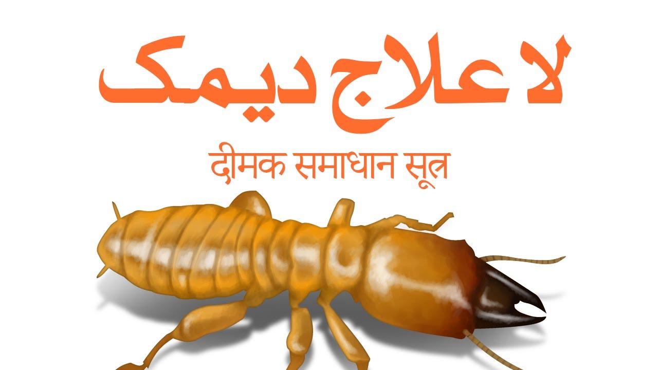 Demak Termite pesticide formula | Termite chemical formula | Jawad ...