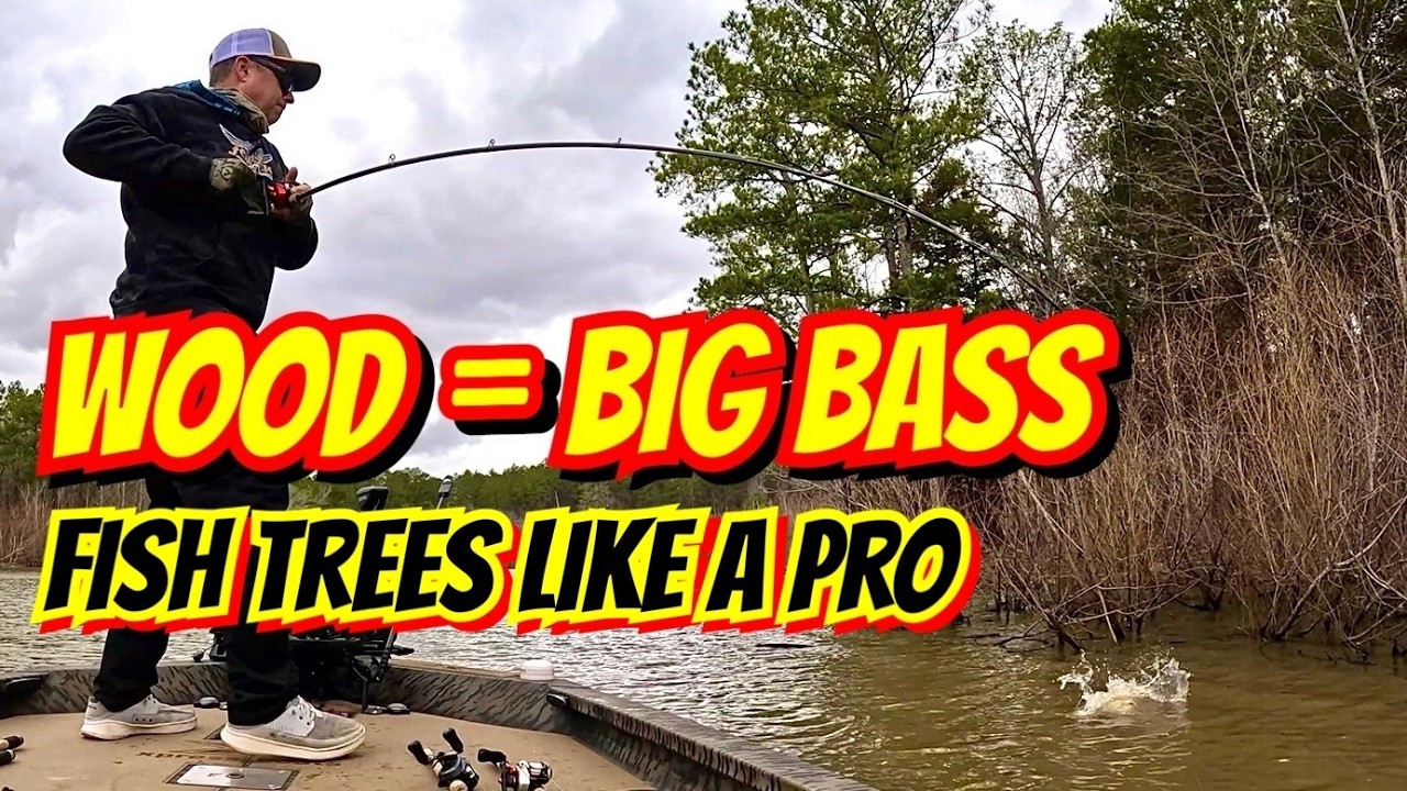 How the Pros Fish Wood (Most Anglers Get This Wrong): How to Catch Bass ...