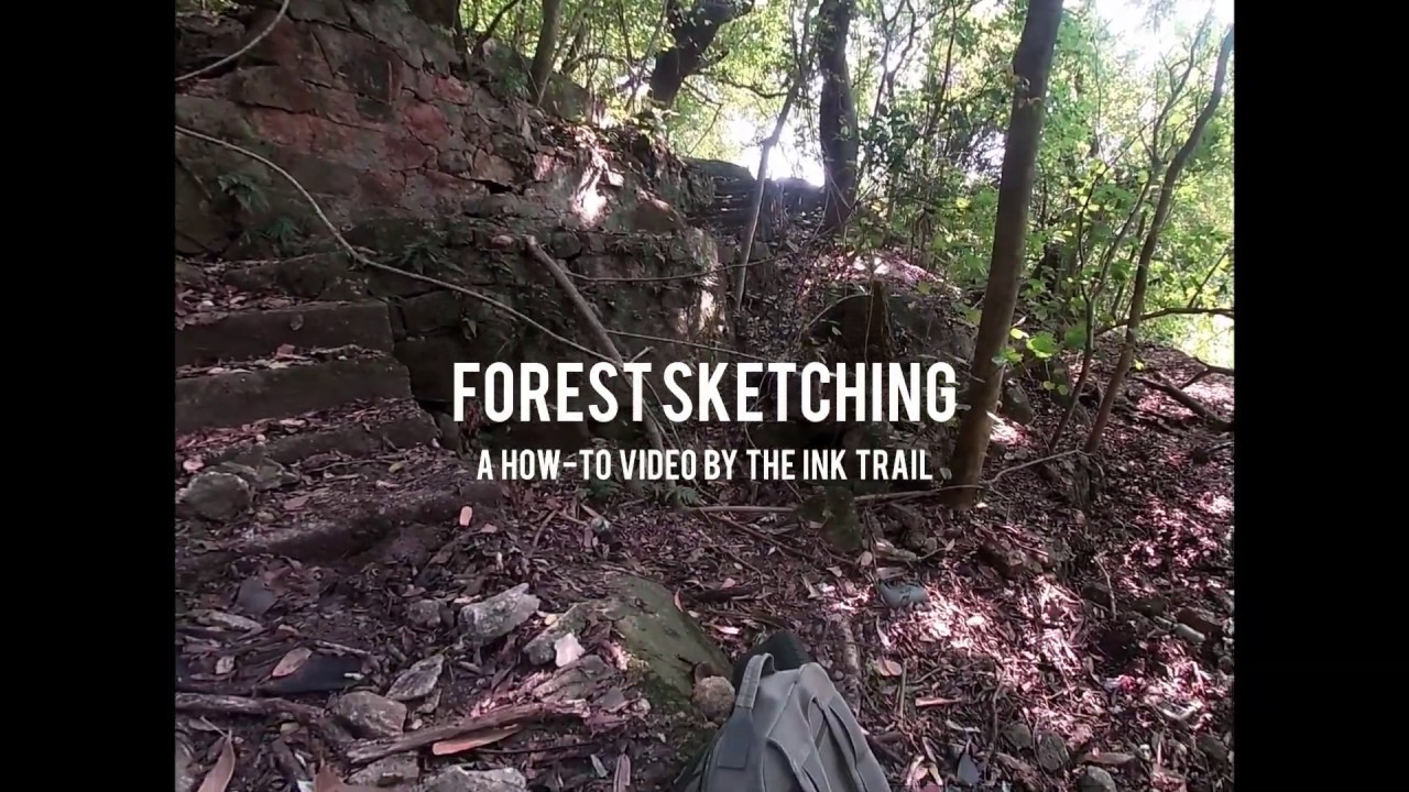Forest Sketching || How To Sketch An Over-Grown Environment - YouTube