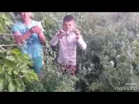 Avcı Ramazan - İlk Kuş avı (Bölüm 1) 08.04.2016