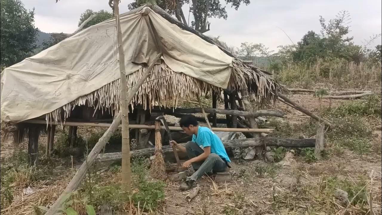 Noj su tas rov mus luaj teb dua. Feb05,2025. - YouTube