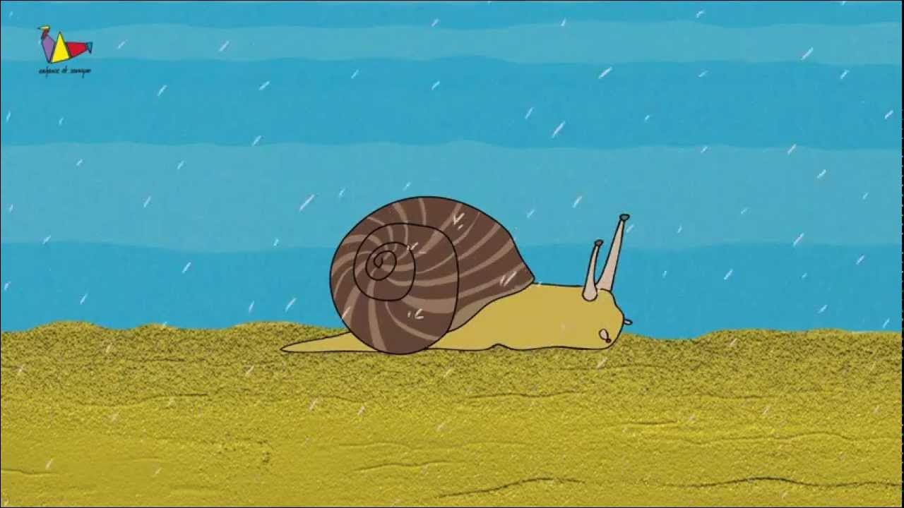 Petit escargot - Label Enfance et Musique © - YouTube