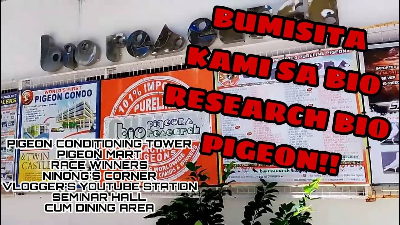 BIO RESEARCH BIO PIGEON / THE HOME OF IMPORTED PURELINES RACING PIGEON ...