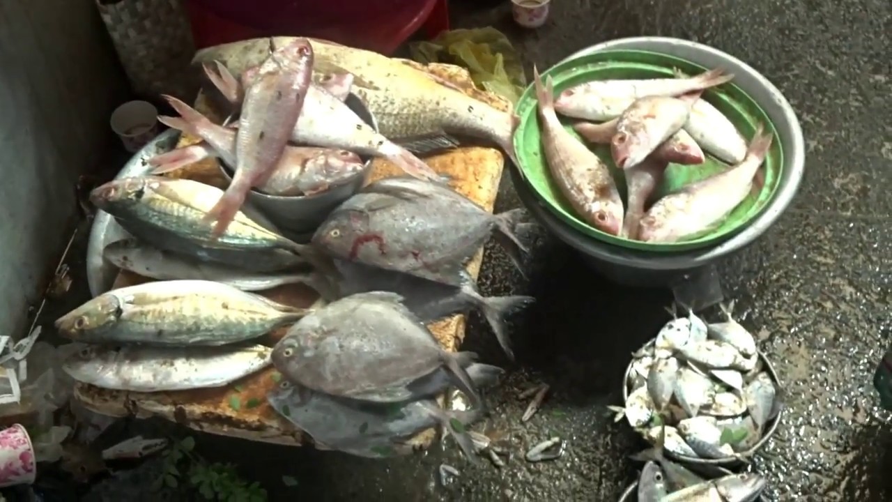 Fish market in Pondicherry (India) || Cutting Biggest Fish - YouTube