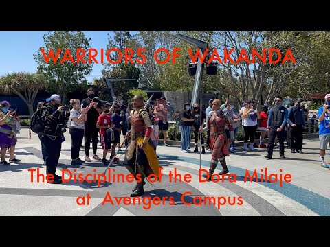 The Warriors of Wakanda: The Disciplines of the Dora Milaje at Avengers ...