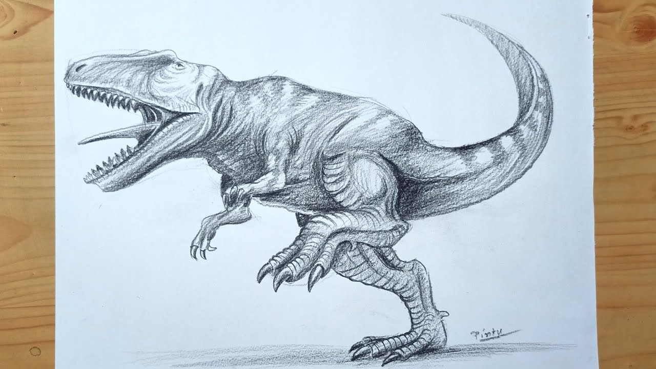 How to draw T-Rex step by step | Pencil shading drawing - YouTube