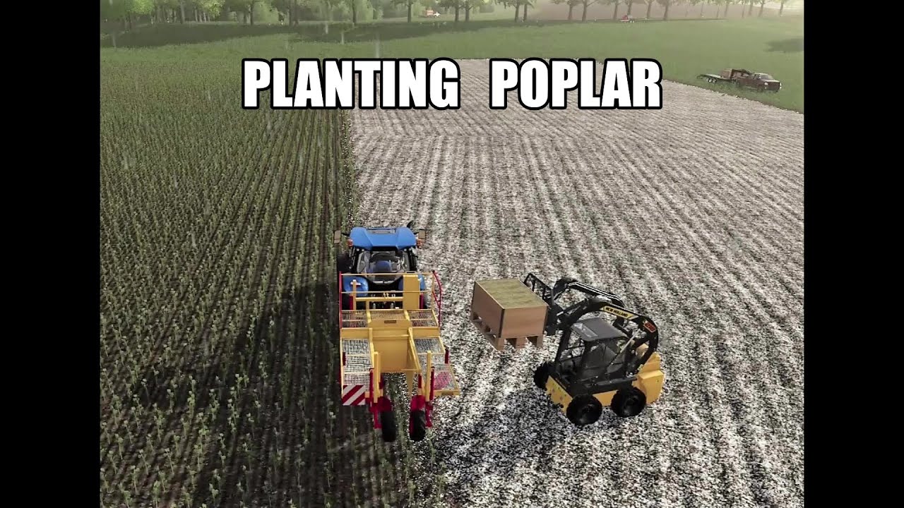 FS19 PLANTING POPLAR #1 - YouTube
