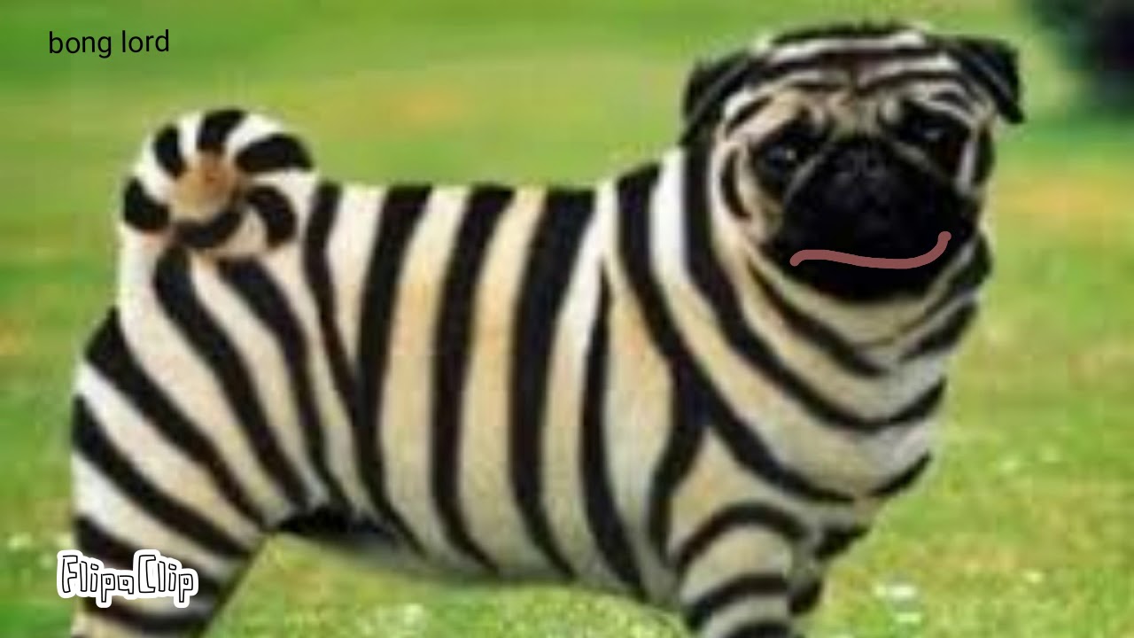 Smile of simile - YouTube