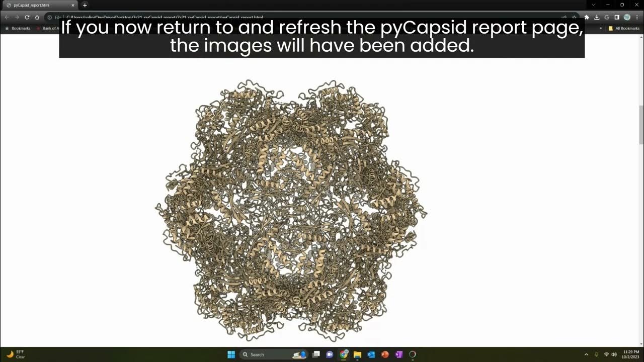 pyCapsid ChimeraX visualization tutorial - YouTube