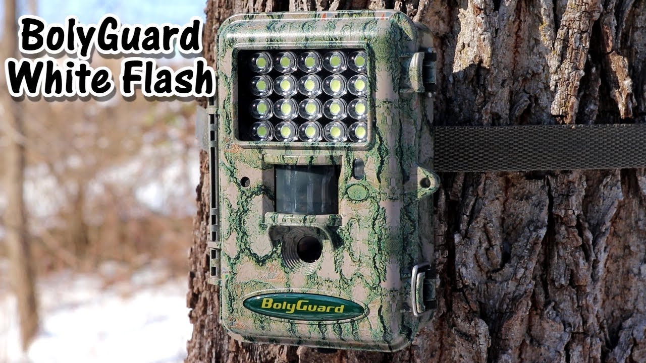 Boly White Flash 18MP Trail Camera Review and Field Test: Sample Videos ...