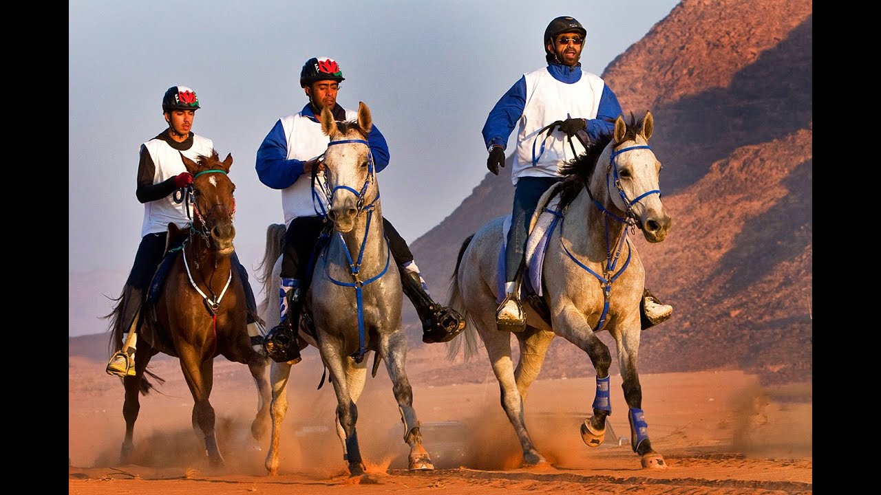 THE TOUGHEST HORSE RACE • THE UAE ENDURANCE CUP RACE - YouTube