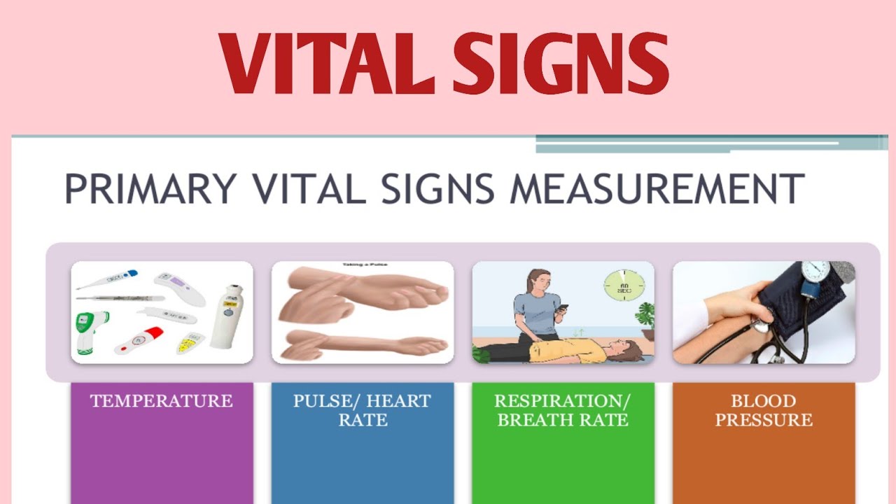 NSG FON 12 Vital Signs/ INC syllabus - YouTube