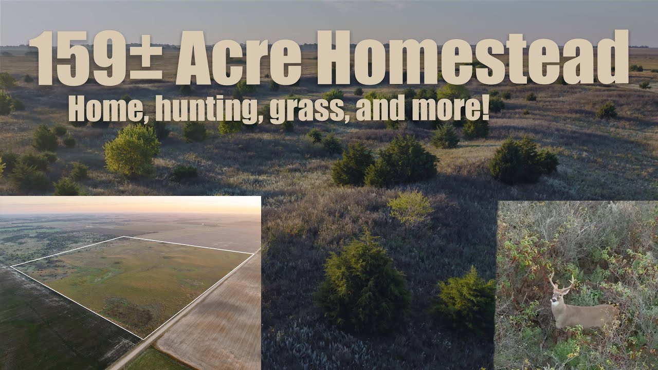 159± acre homestead - home, hunting, grass, and more! - YouTube
