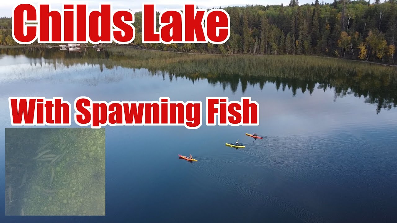 Childs Lake and Fish Spawning - Travels with Bill - YouTube
