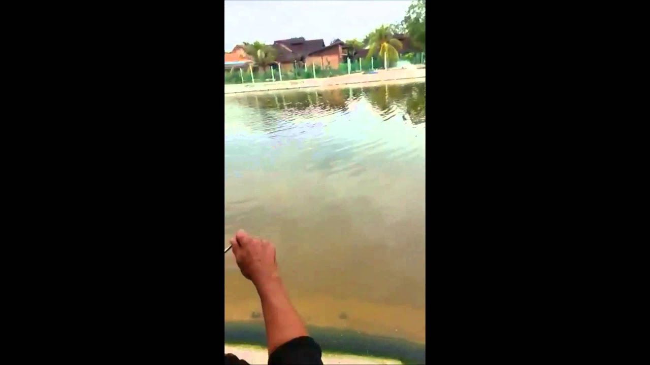 Jebrok Naloh Extended Version Landed GT at Damai - YouTube