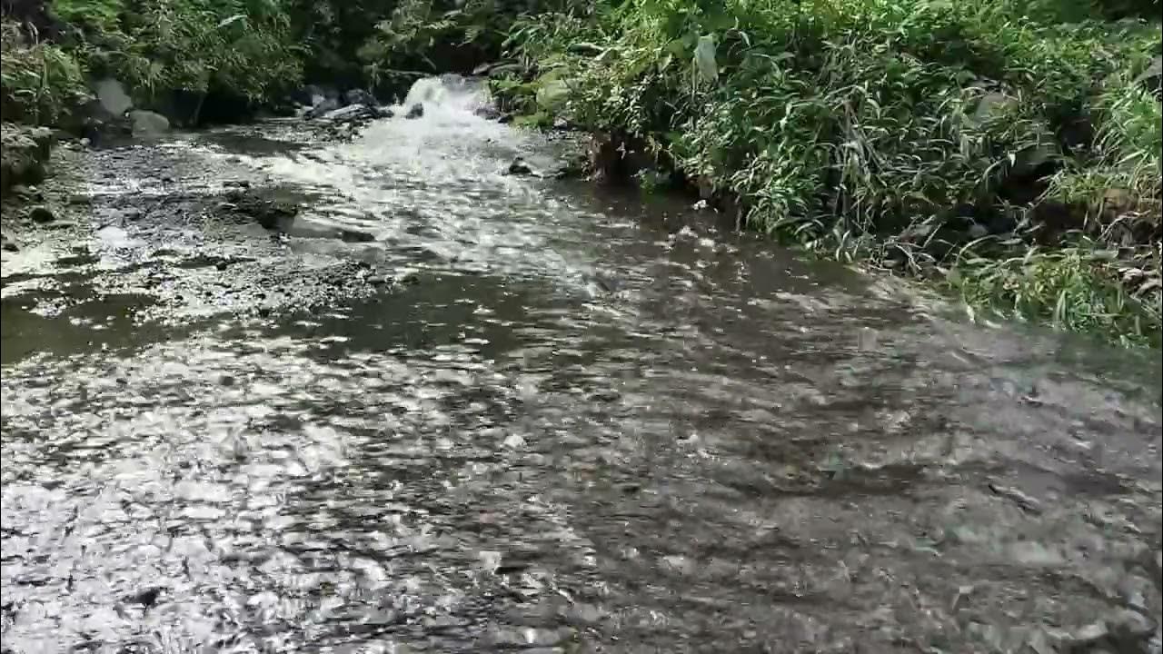 Best Waterfall Sounds for sleeping- Waterfall on Steps Gigantic ...