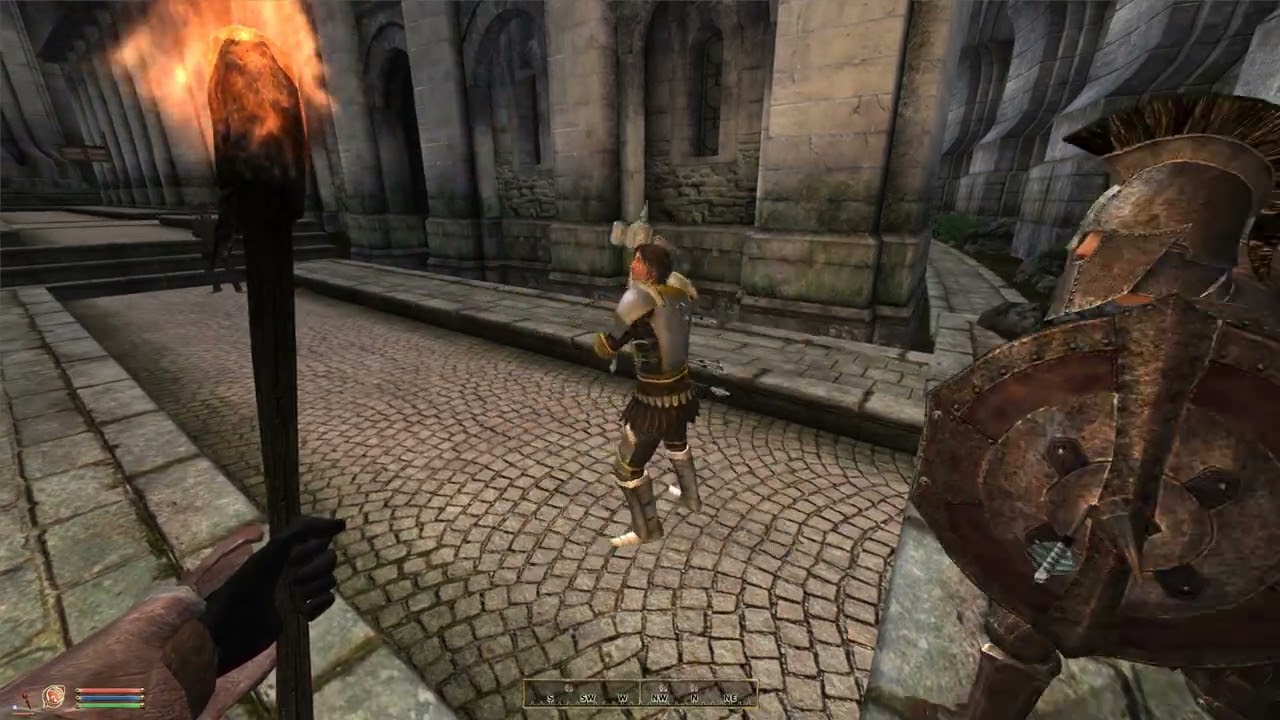 What Are These NPCs Doing? - YouTube